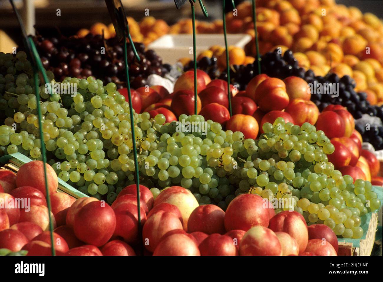 Sustaining agriculture hi-res stock photography and images - Alamy