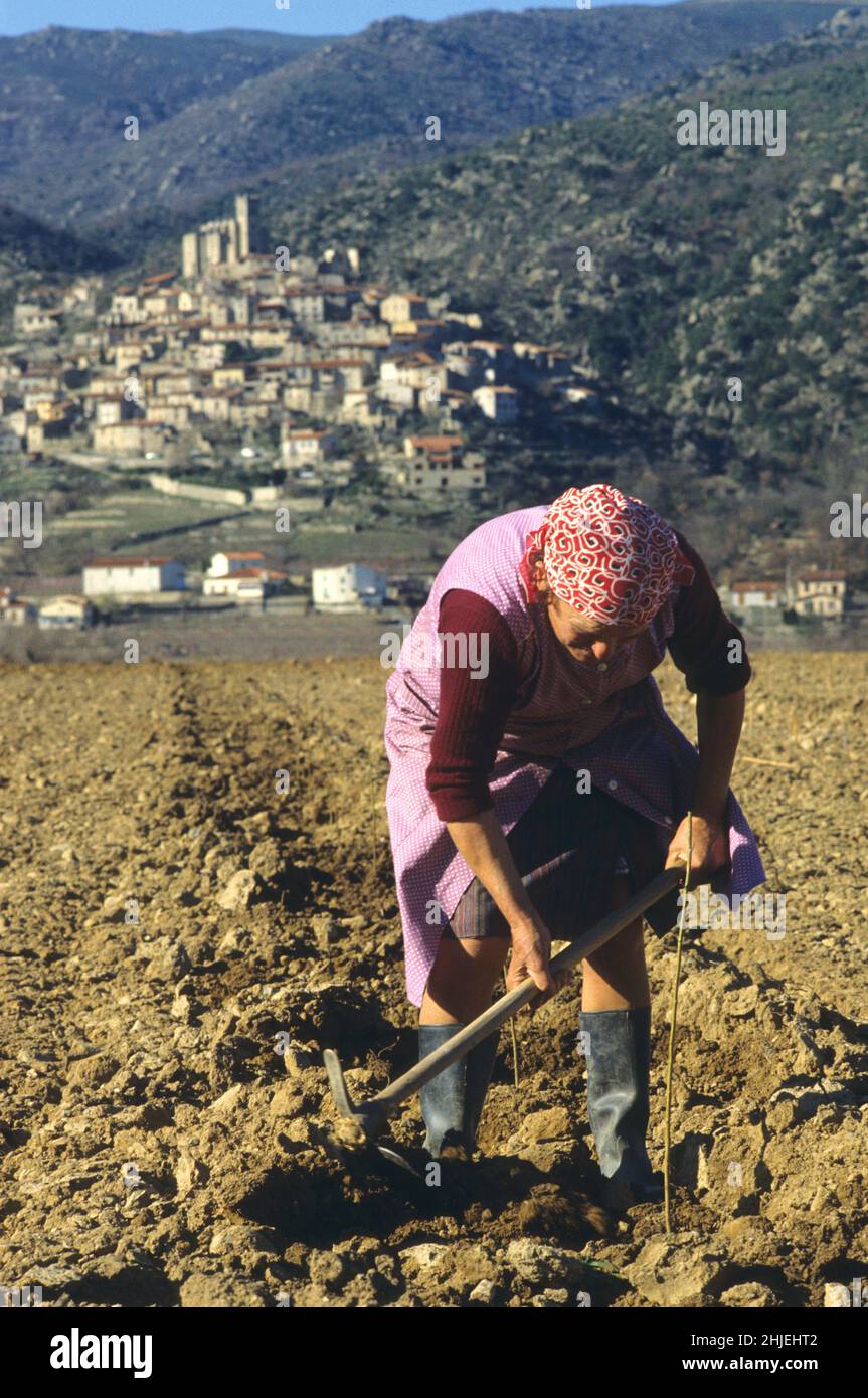 Femme paysanne hi-res stock photography and images - Alamy