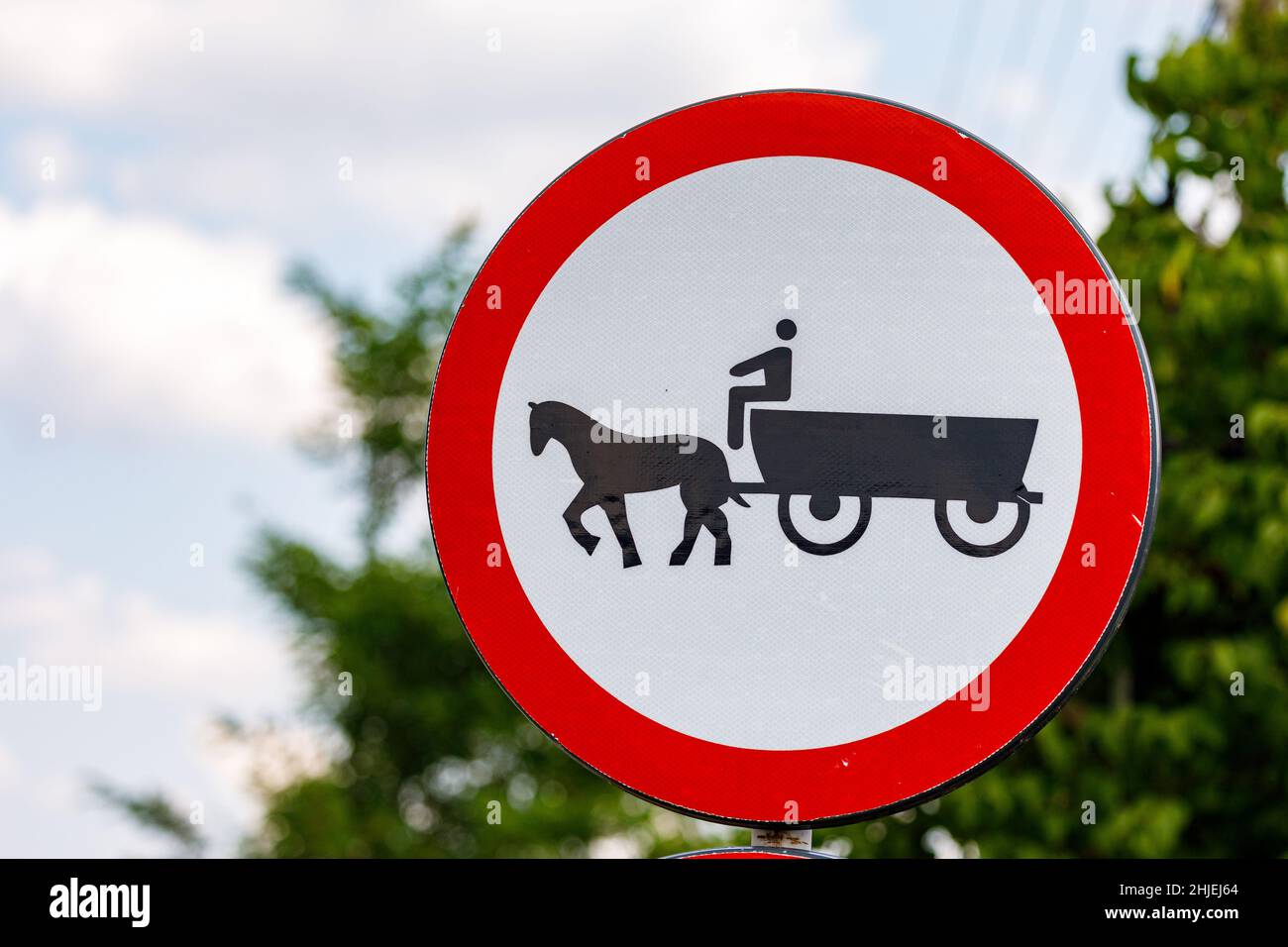A warning sign horse and carriage Stock Photo - Alamy