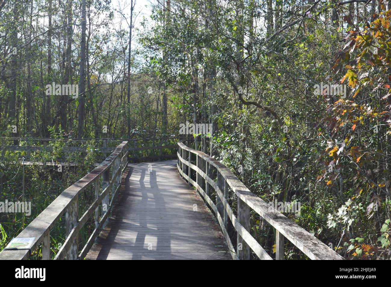 Sumpf trail hi-res stock photography and images - Alamy