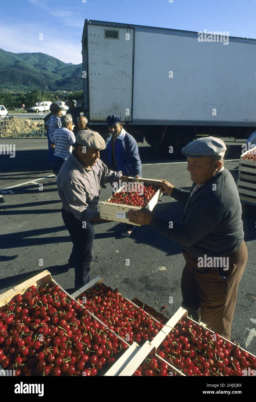 Loading lorry fruit hi-res stock photography and images - Alamy