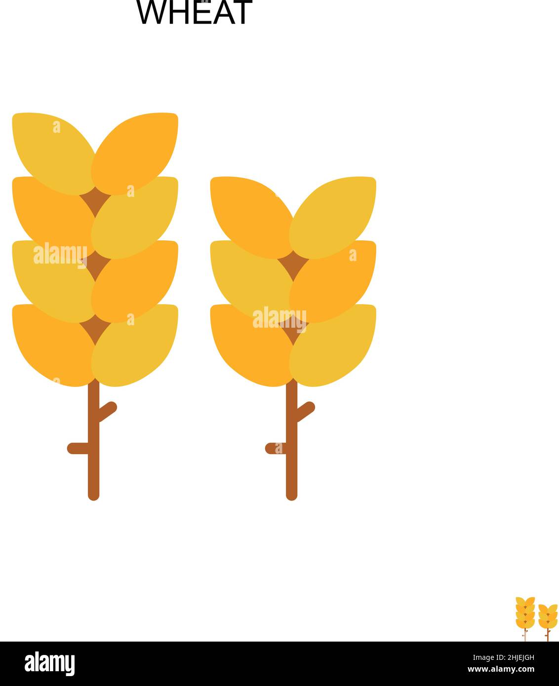 Wheat Simple vector icon. Illustration symbol design template for web ...