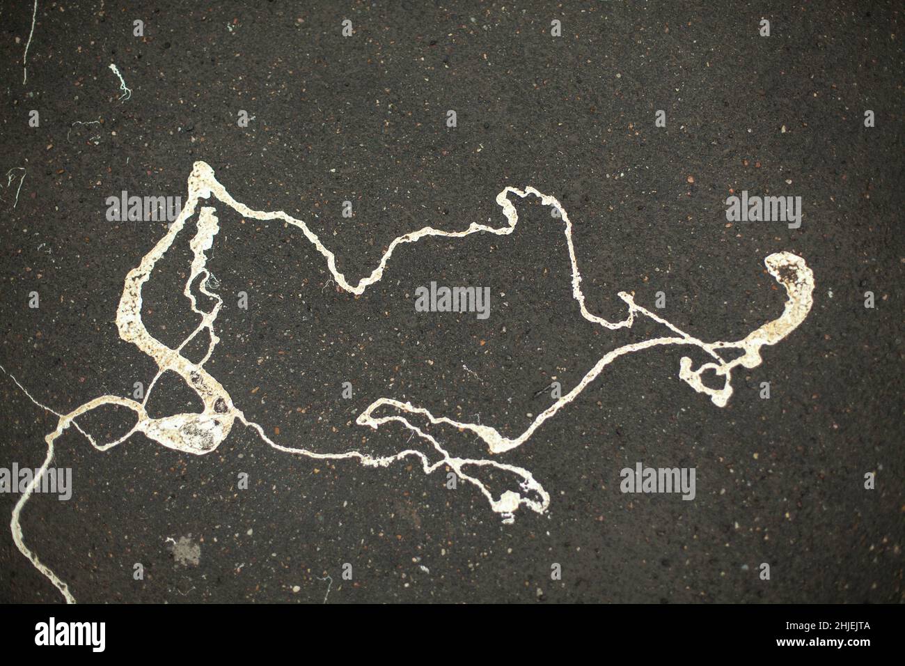 Paint on asphalt. Splashes of white paint on road. Soiled surface ...
