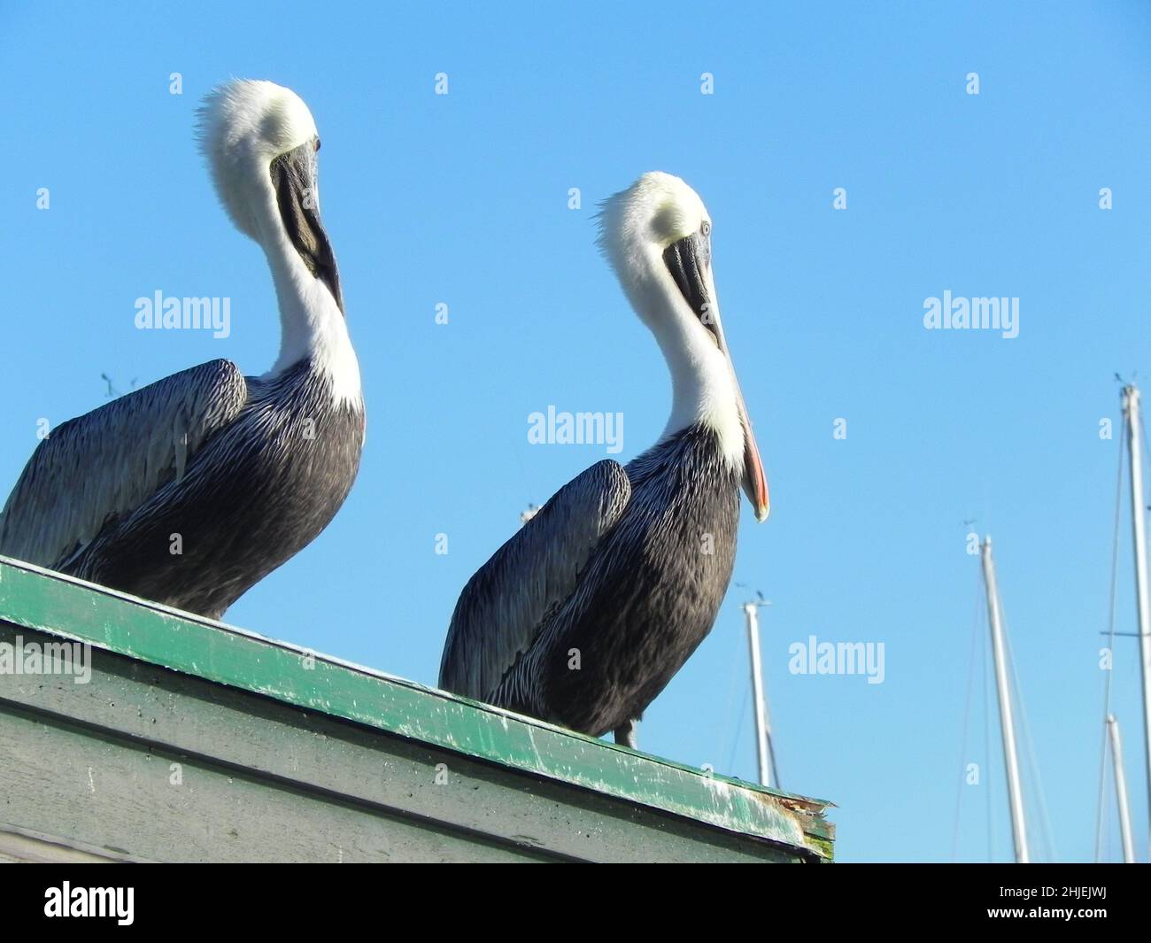 Naples city dock Stock Photo - Alamy