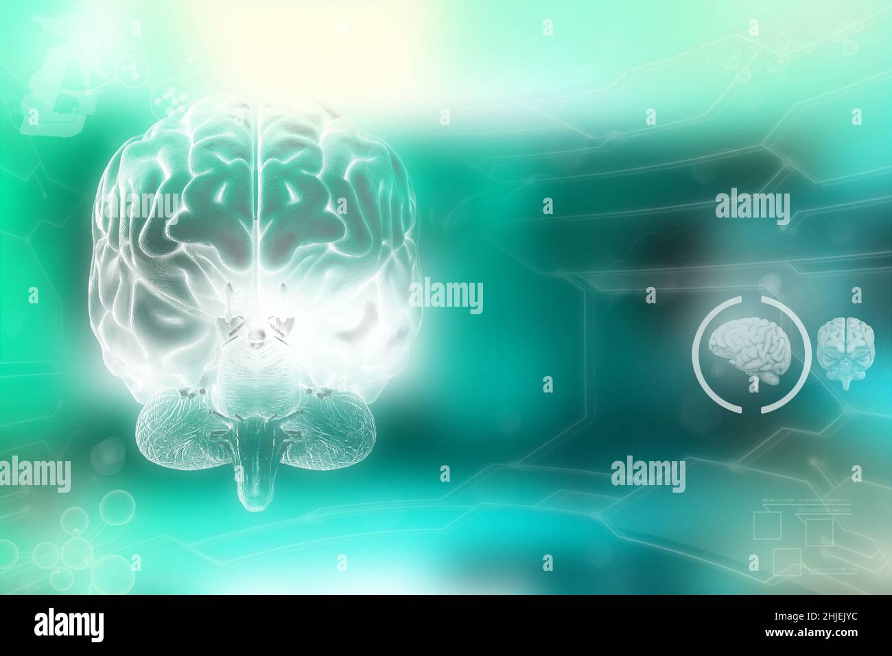 Medical 3D illustration - human brain, neurosurgery analysis concept ...