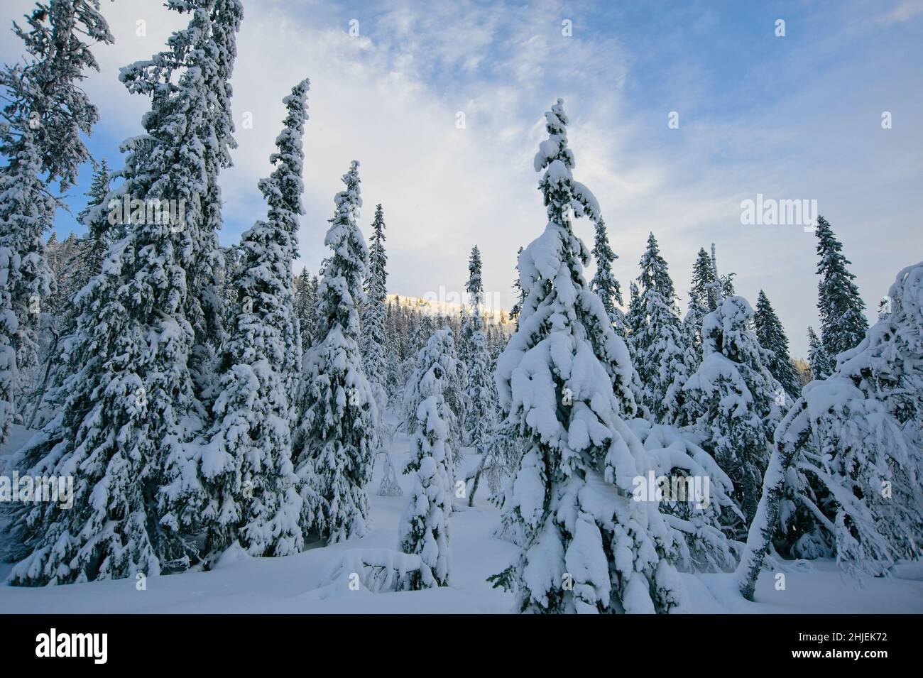 Salen sweden hi-res stock photography and images - Alamy
