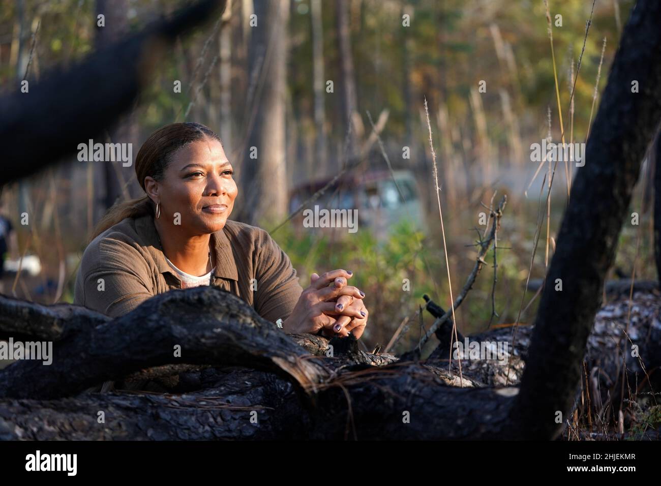 Tiger point hi-res stock photography and images - Alamy