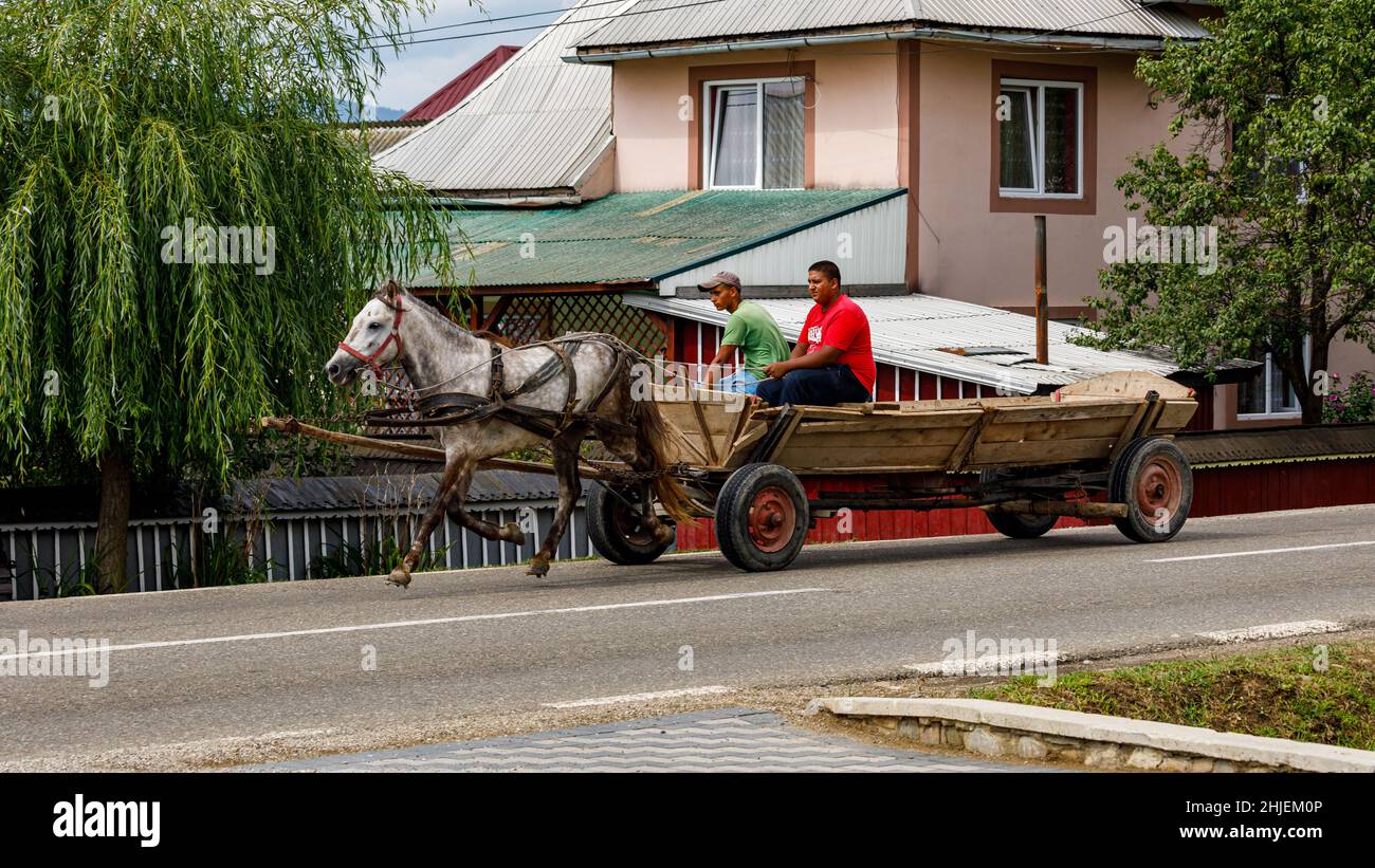 horse and carriage in romania Stock Photo - Alamy