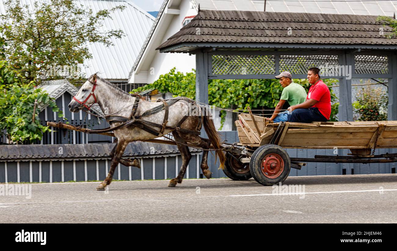 horse and carriage in romania Stock Photo - Alamy