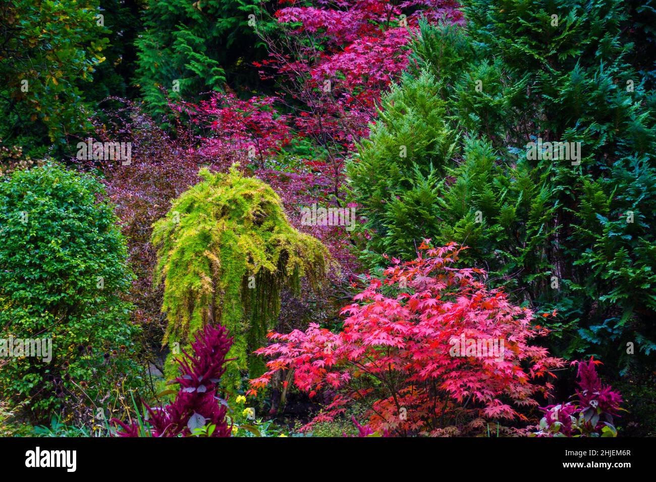 Scenic green park lush bushes hi-res stock photography and images - Alamy