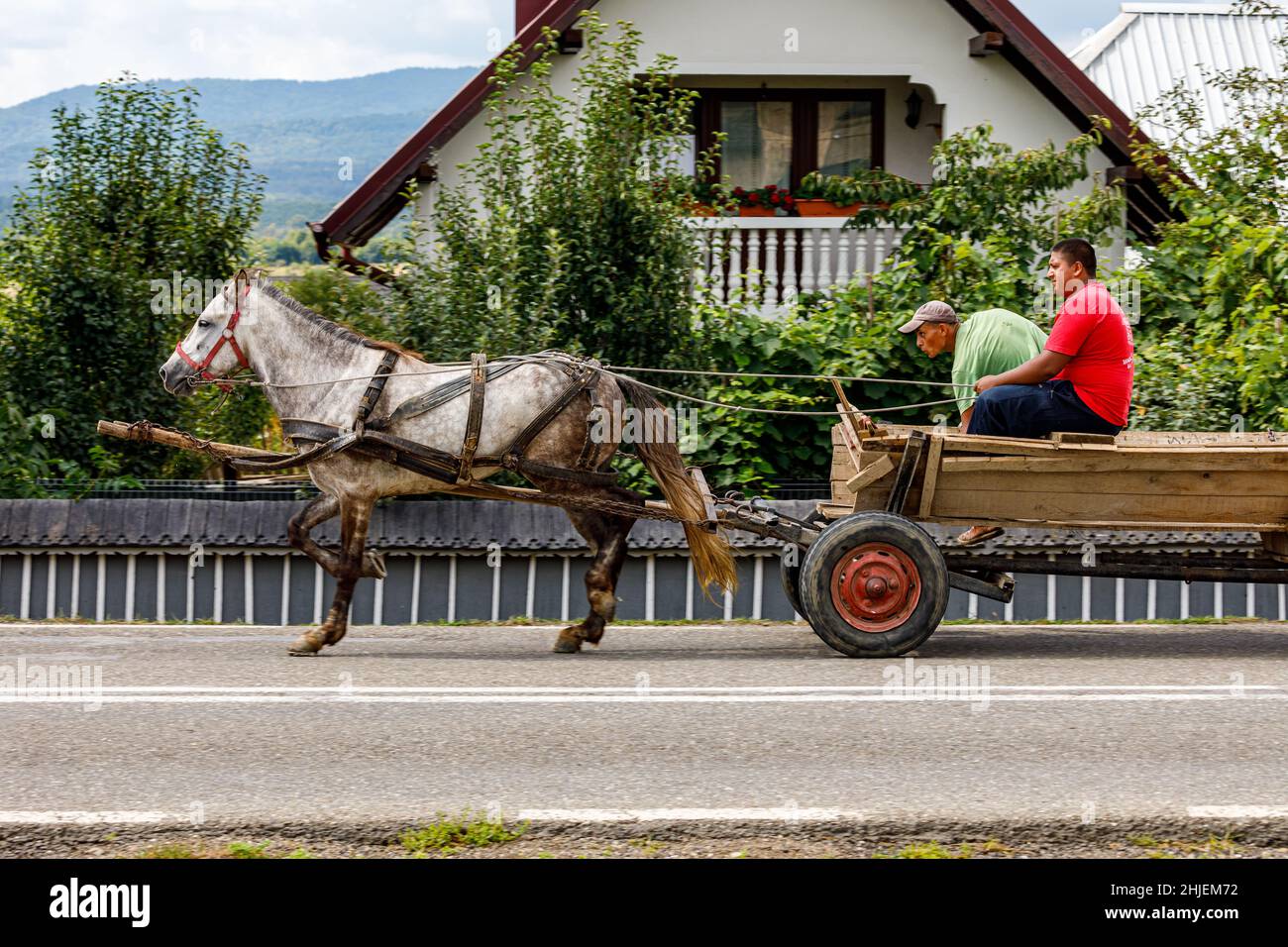 Horse drawn coach gallop hi-res stock photography and images - Alamy