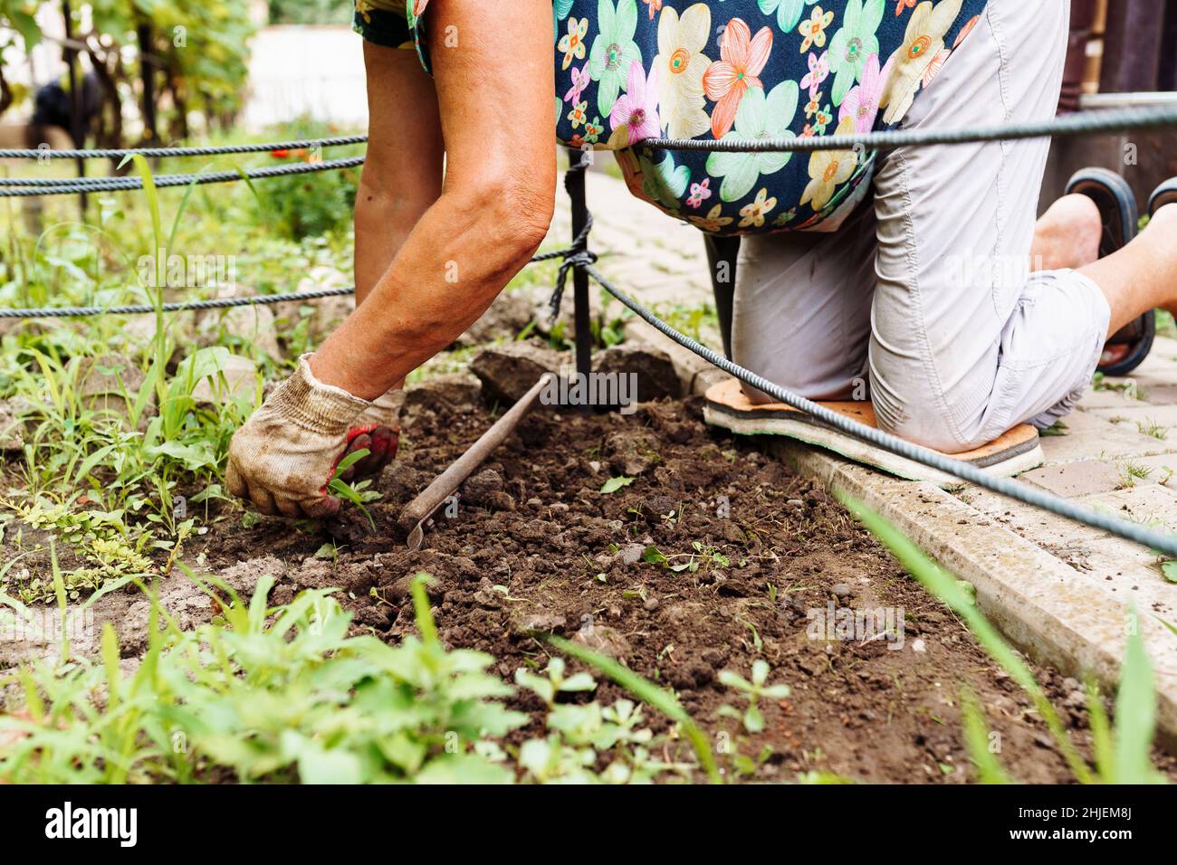 Cropped image of woman weeding in yard loosen seedbeds in construction ...