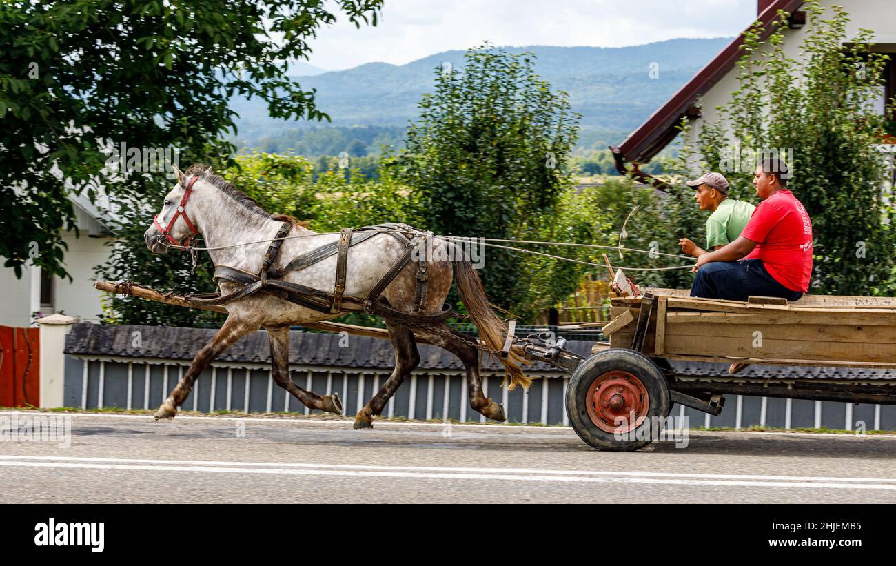 horse and carriage in romania Stock Photo - Alamy