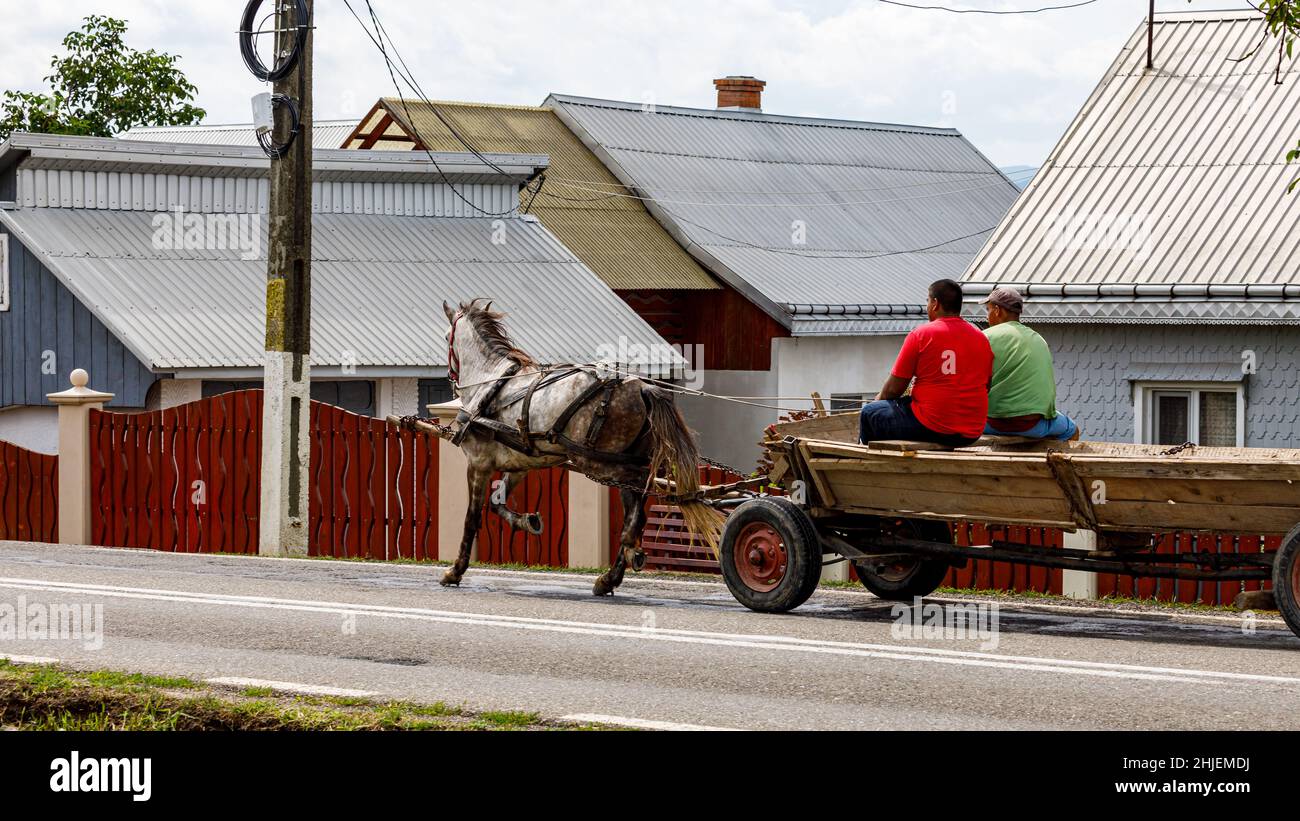horse and carriage in romania Stock Photo - Alamy