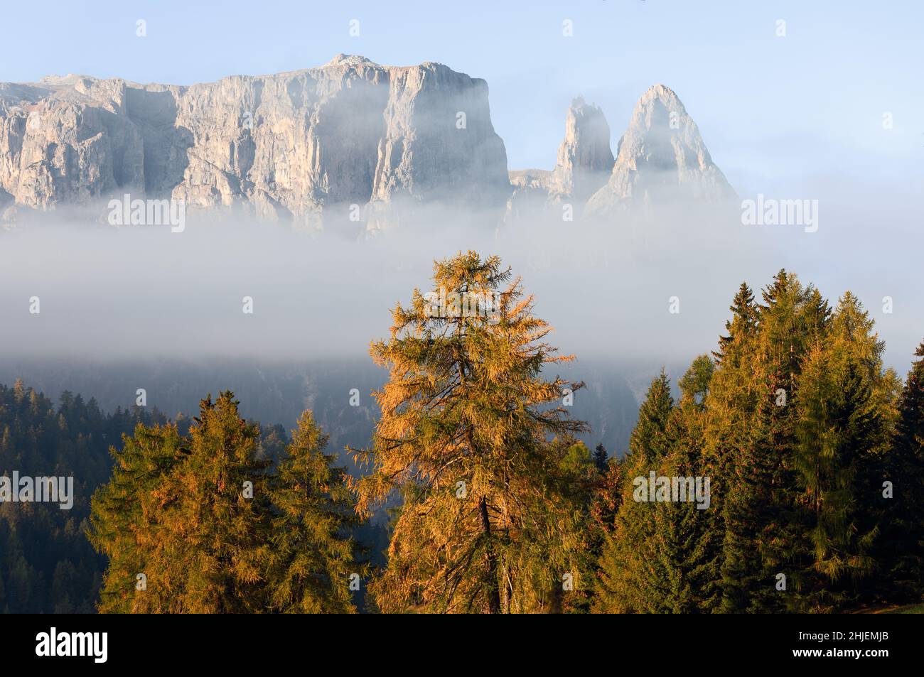 The tops of autumn trees in the early morning on the background Punta ...