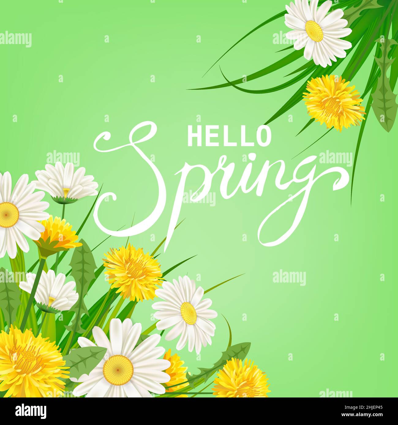 Hello Spring lettering template background with flowers dandelions and ...
