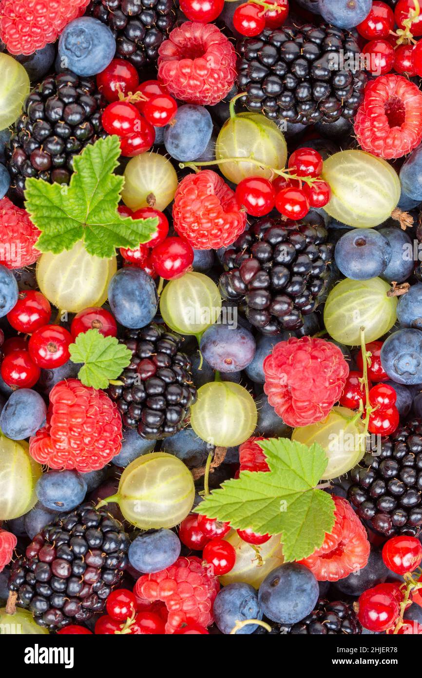 Berries fruits berry fruit strawberries strawberry blueberries ...