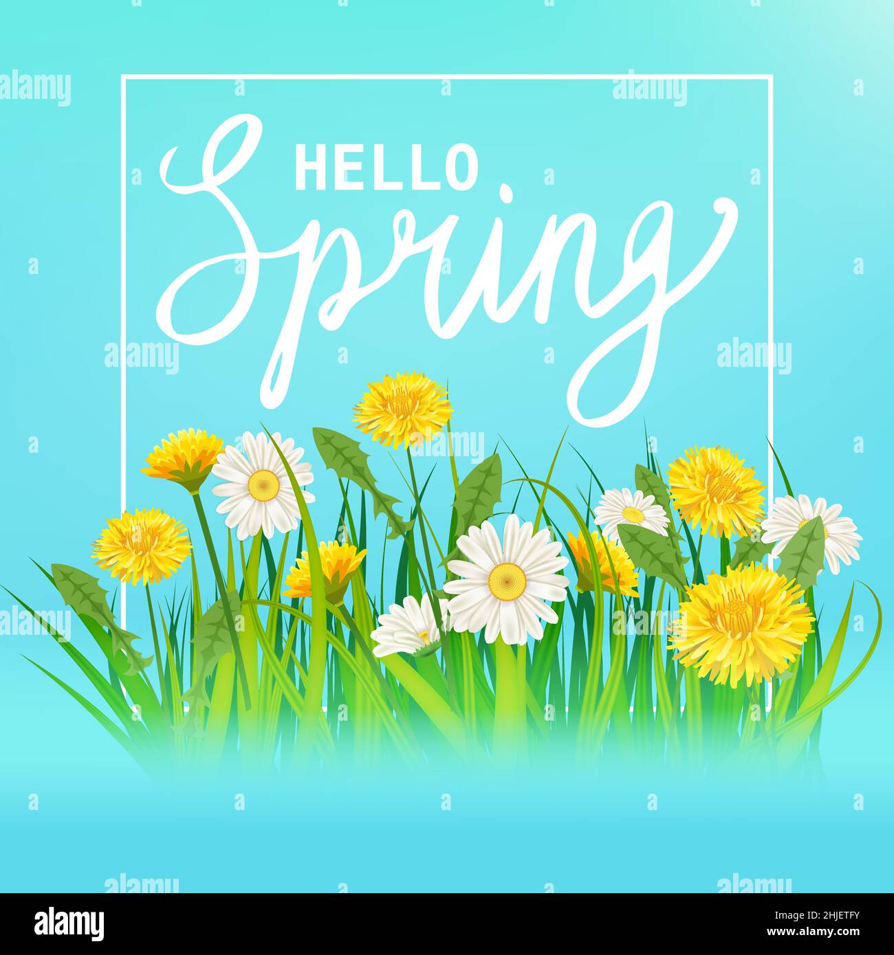 Fresh daisy bouquet symbol Stock Vector Images - Alamy