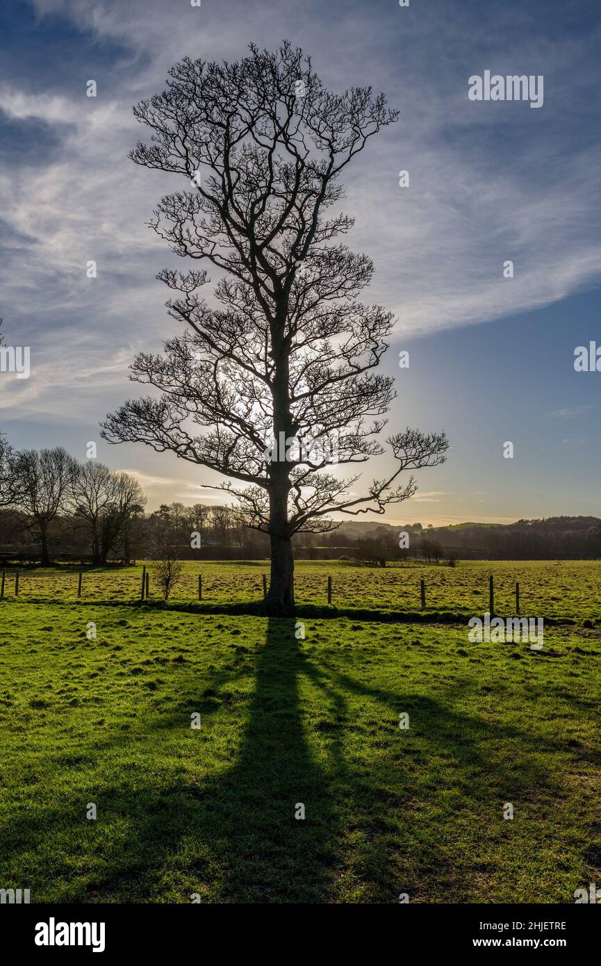 Caton Lancashire High Resolution Stock Photography and Images - Alamy