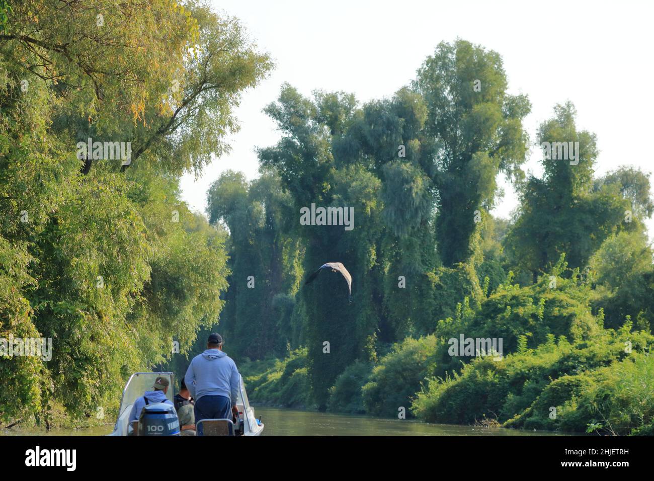 Boat for tourists in Danube Delta in Romania Stock Photo - Alamy