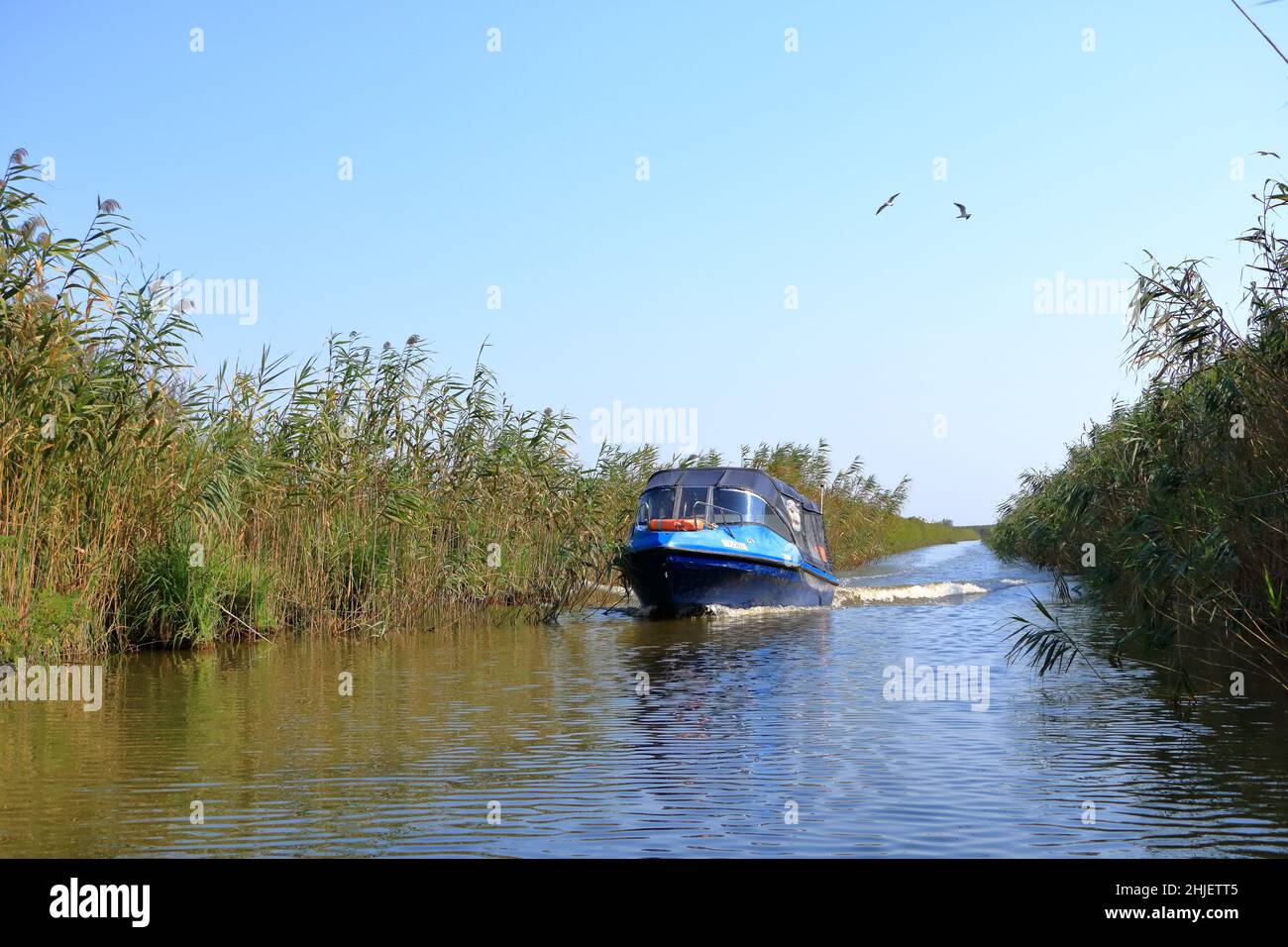 Boat for tourists in Danube Delta in Romania Stock Photo - Alamy