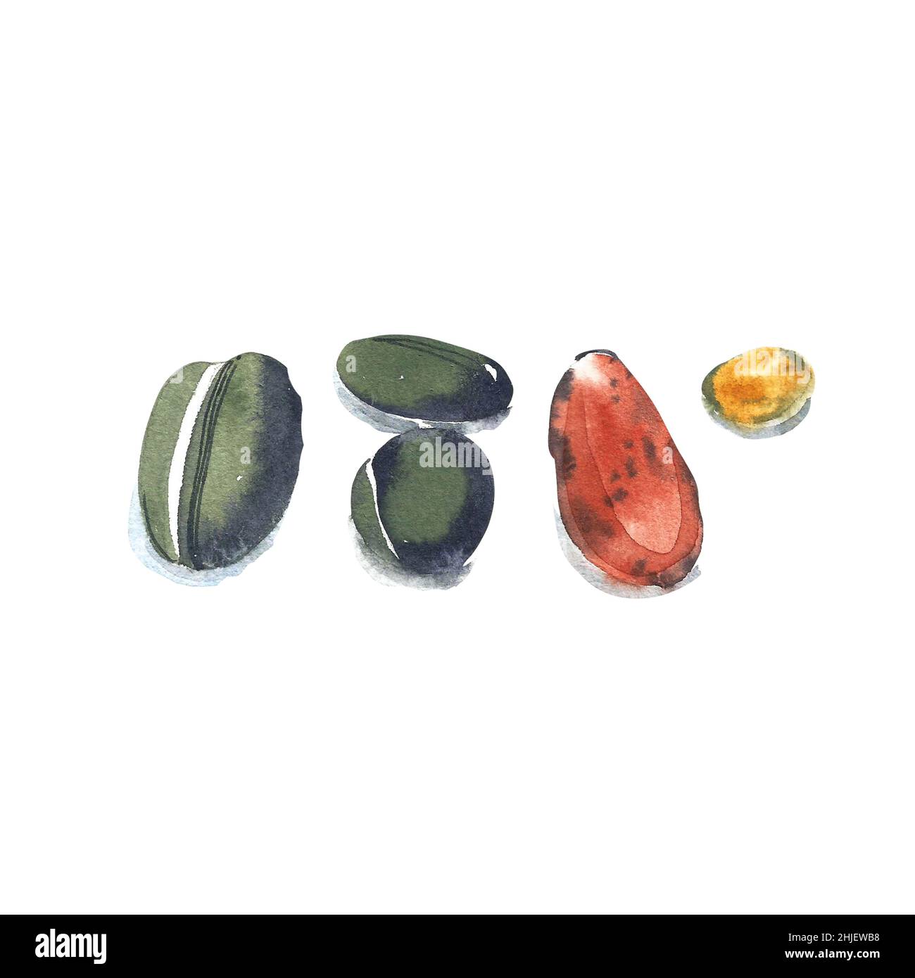 Colorful sea pebbles stones set. Hand drawn watercolor illustration ...