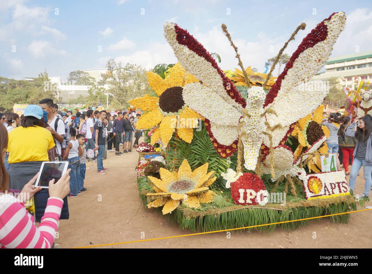White Chrysanthemum and red Daisy flowers arranged to resemble ...