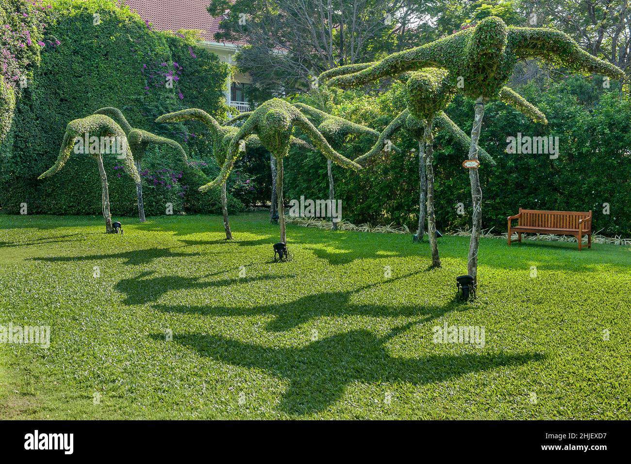 The famous topiary garden of Centara Grand Beach Resort and Villas in ...