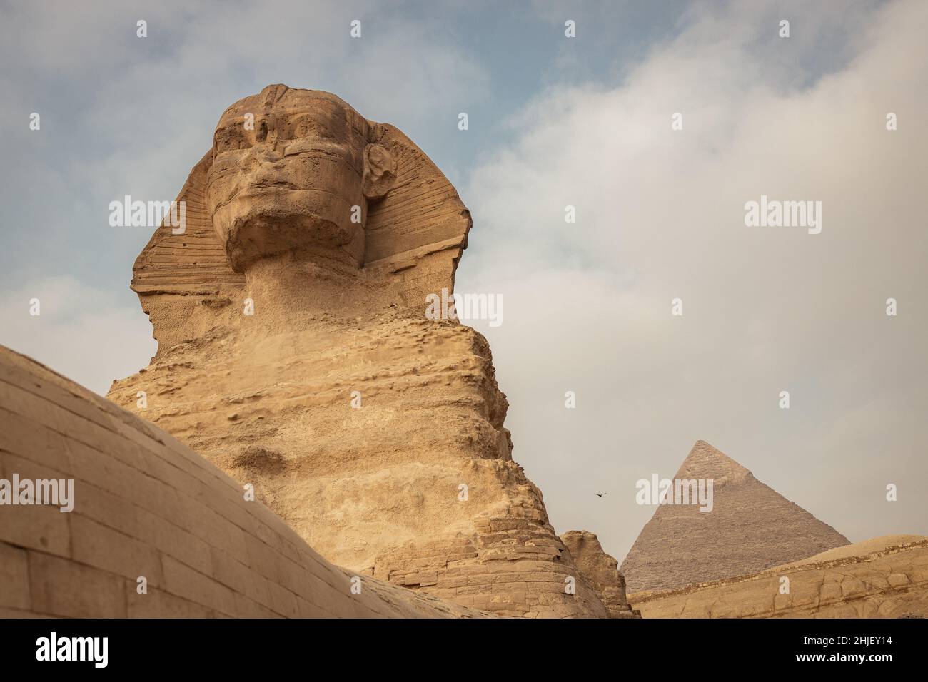 Closeup of the Great Sphinx of Giza Stock Photo - Alamy