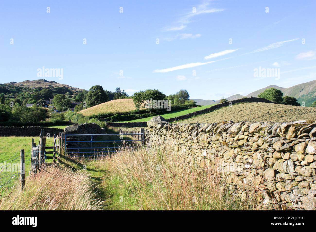 Green landscape with dense trees with stone fences against a cloudy sky ...