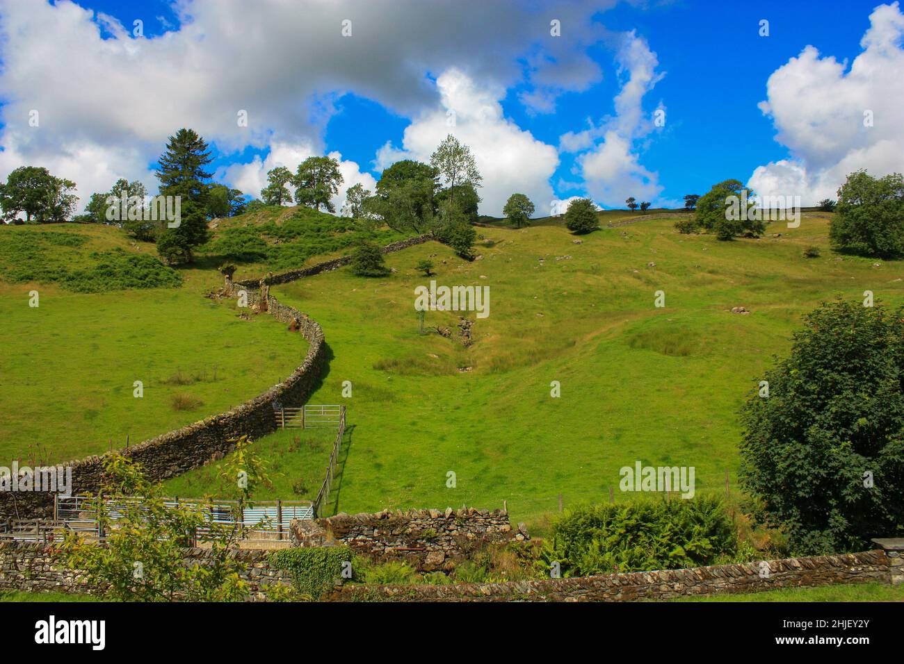 Green landscape with dense trees with stone fences against a cloudy sky ...