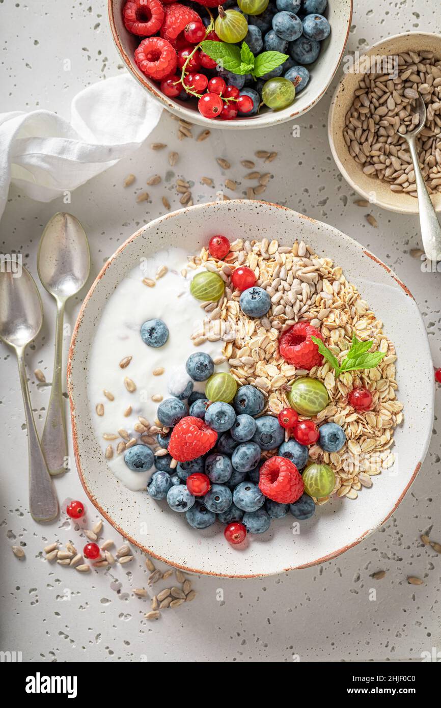 Healthy oats with berry fruits and yoghurt. Oatmeal with fruits as ...