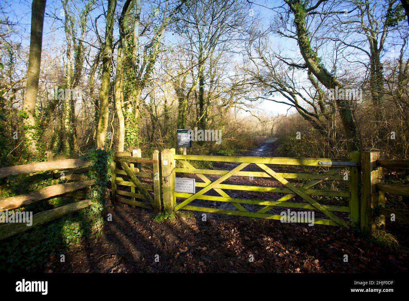 ,marsh,marshes,wet,lands,National Trust,Newtown,Isle of Wight,England ...