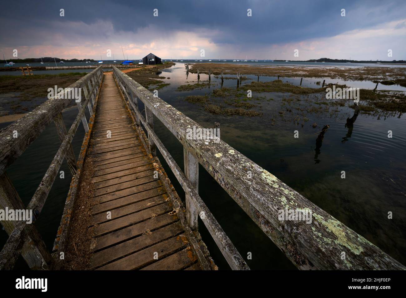 wooden,walkway,over,marsh,marshes,wet,lands,National Trust,Newtown,Isle ...