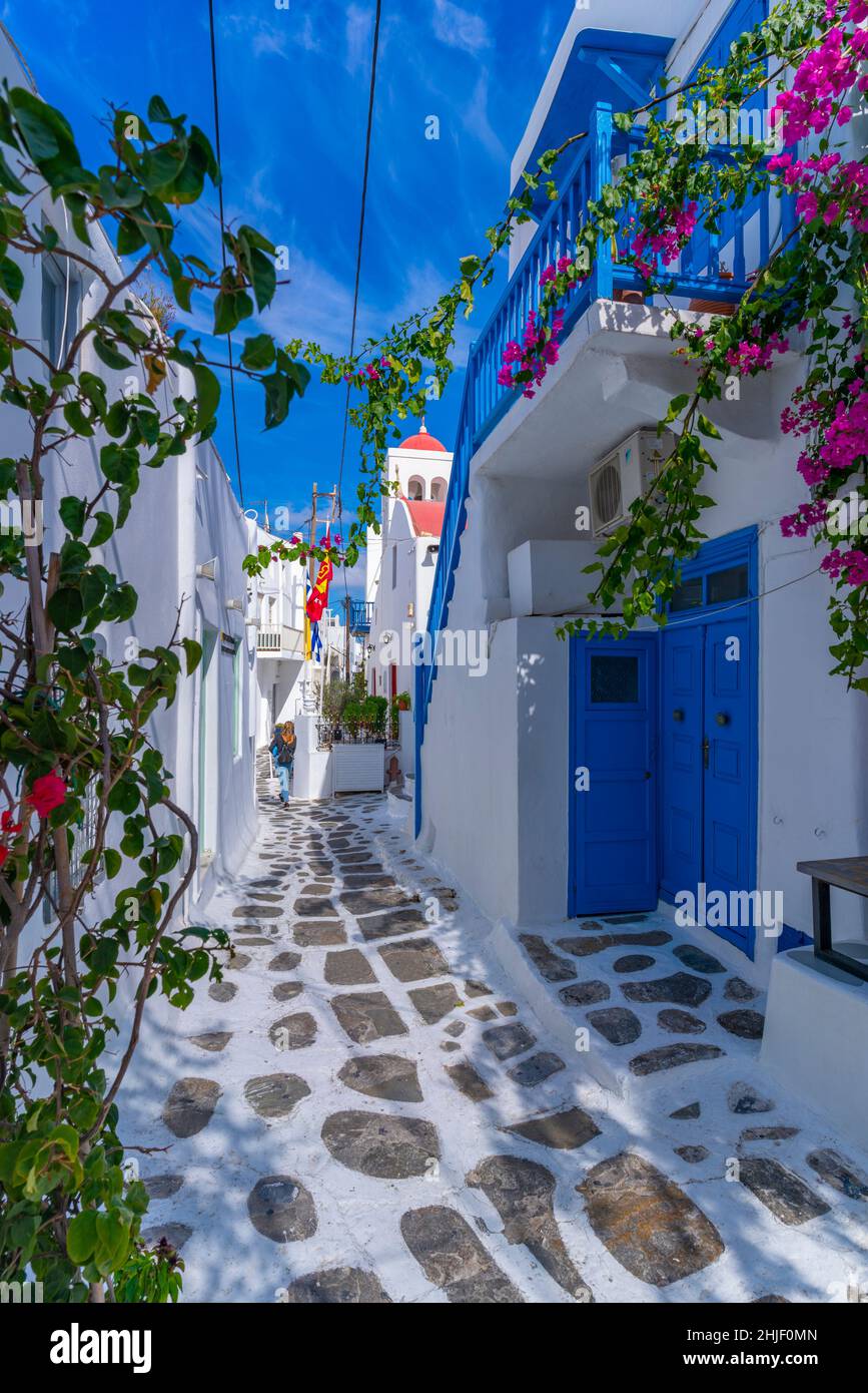 View of narrow cobbled street, Mykonos Town, Mykonos, Cyclades Islands, Greek Islands, Aegean ...