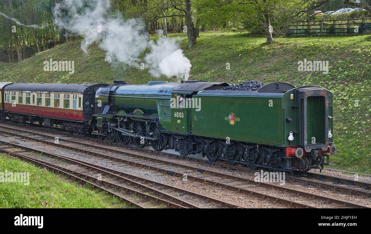 Flying Scotsman - tender first at Horsted Keynes on the Bluebell ...