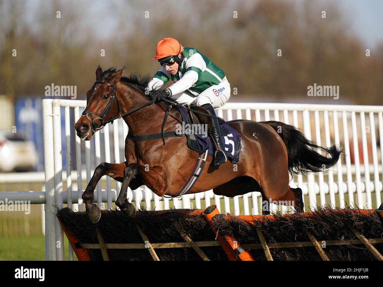 Jay jay reilly horse hi-res stock photography and images - Alamy