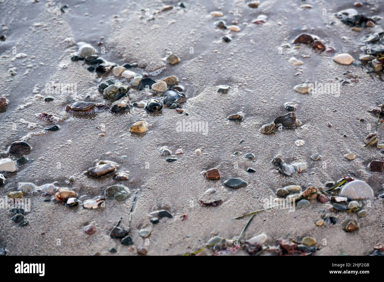 Wet beach sand with pebbles, nature background at the sea, copy space ...