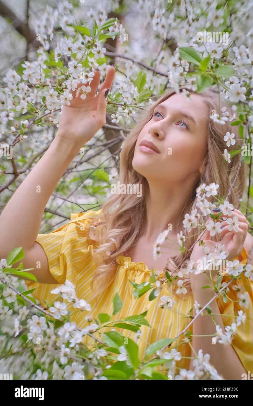 beautiful blonde woman near cherry blossoms close up portrait Stock ...