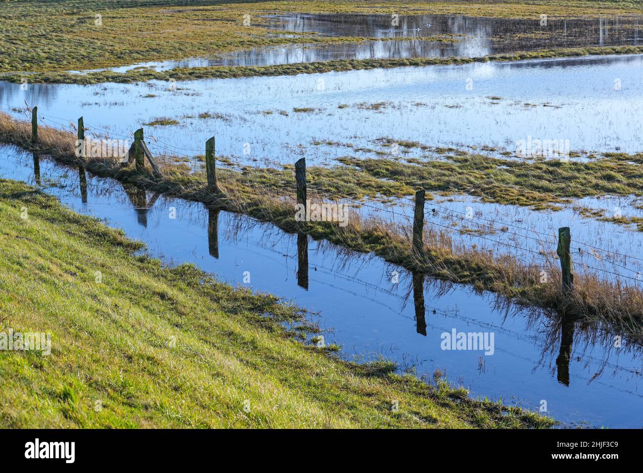 Flooded field after heavy rain, agricultural losses as a result of ...