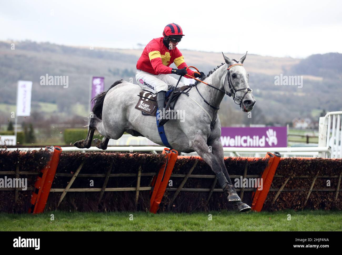 Vanillier horse hi-res stock photography and images - Alamy