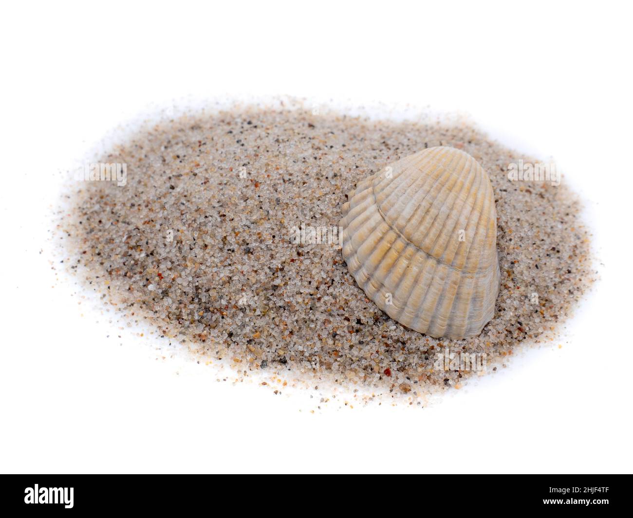 Beach baltic sea north Cut Out Stock Images & Pictures - Alamy
