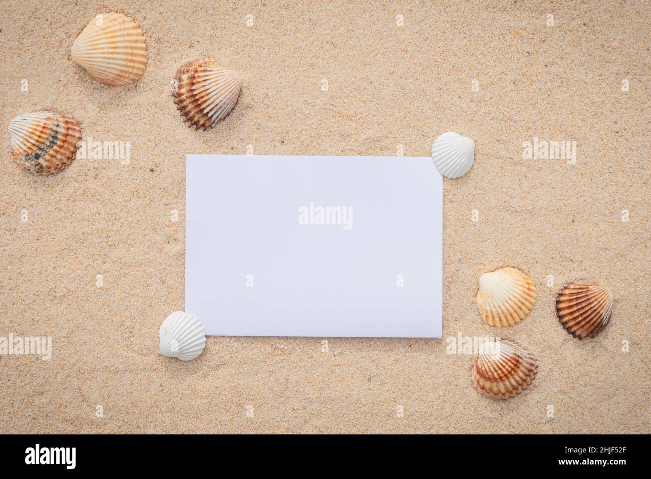 Background sea sand grains, fine beach sand with envelope and shells ...