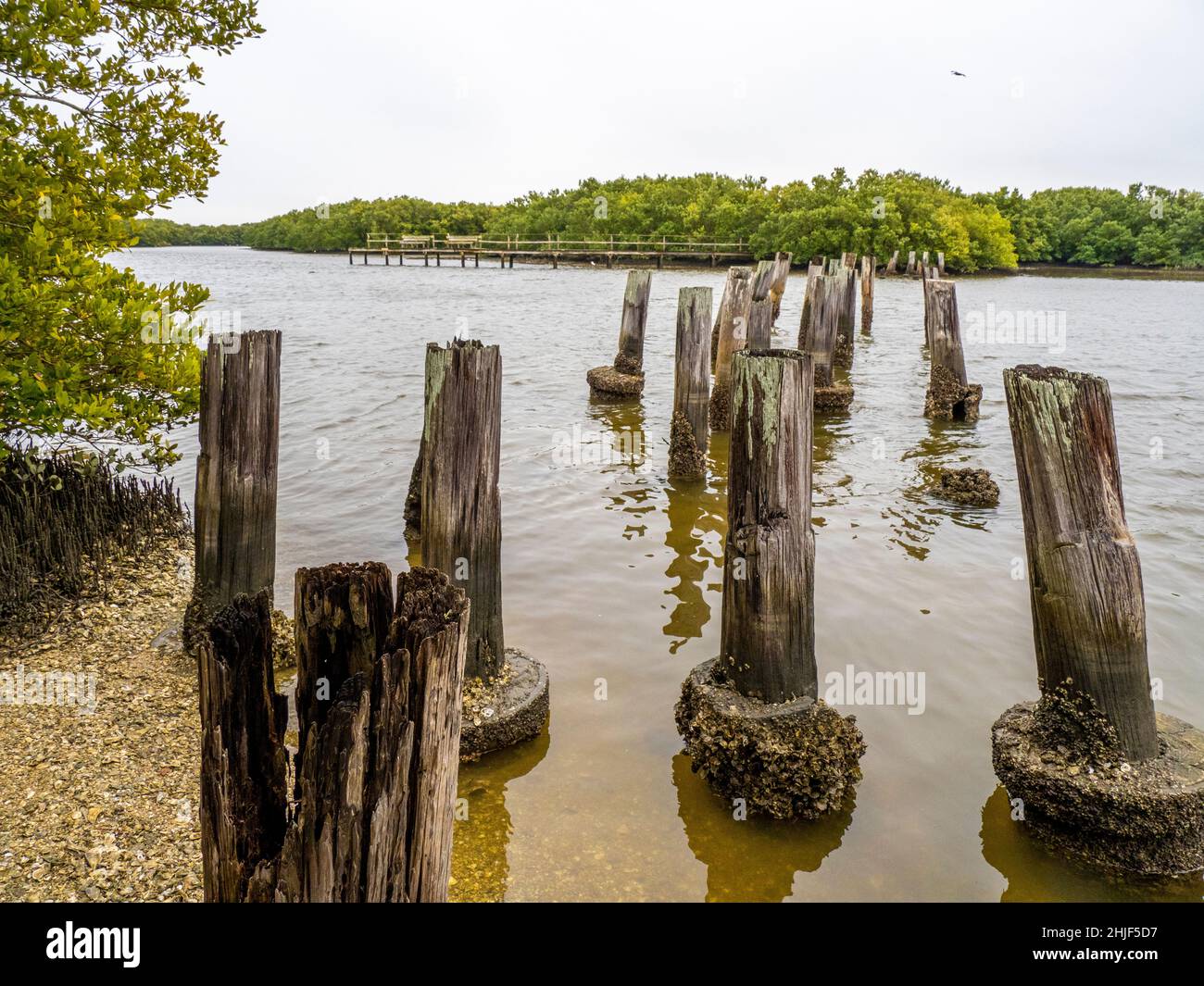 Remains of railroad trestle at the end of the Cedar Key Railroad ...