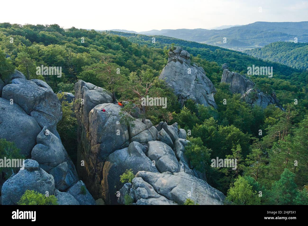 Aerial view of bright landscape with green forest trees and big rocky ...