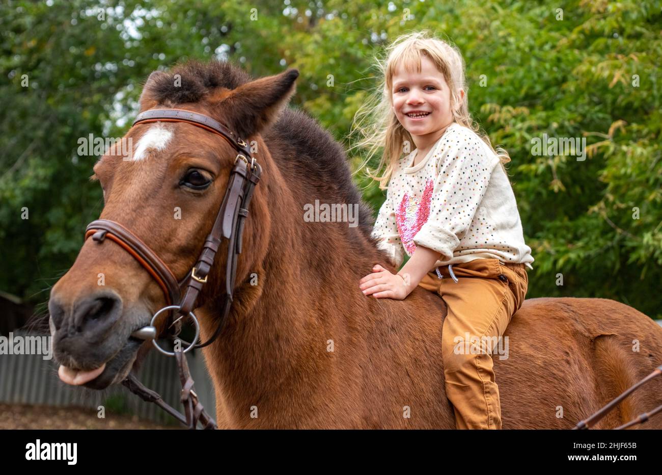 happy little girl riding a horse bareback Stock Photo - Alamy