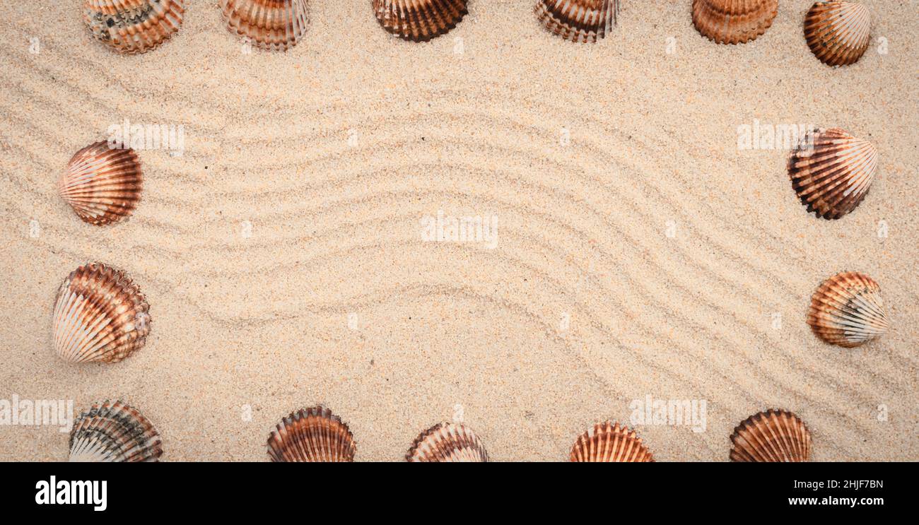 Background sea sand grains, fine beach sand and shells Stock Photo - Alamy