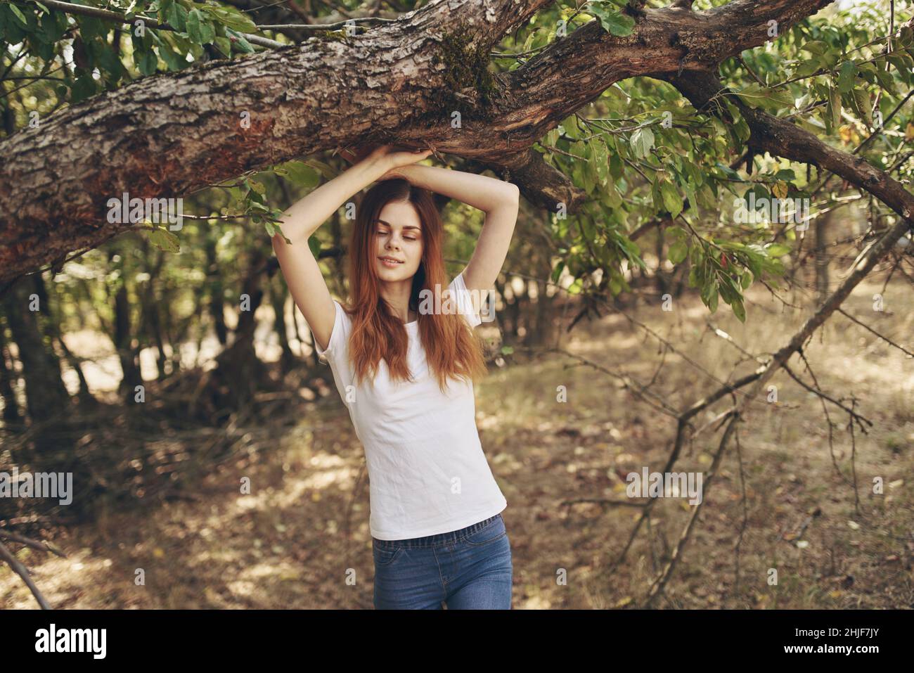 woman touching tree branch with hands on nature in garden summer ...