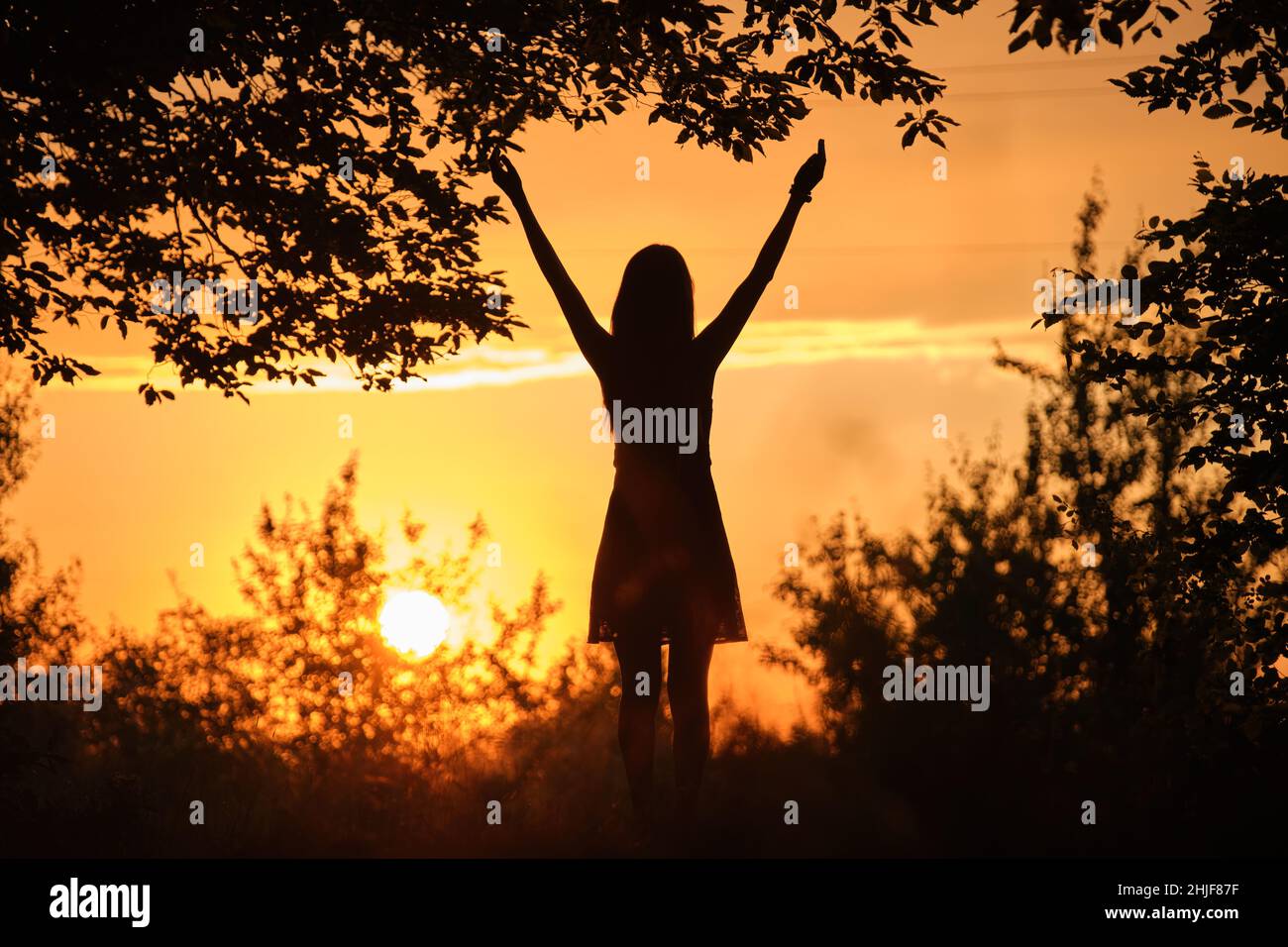 Dark silhouette of young woman walking alone through dark forest ...