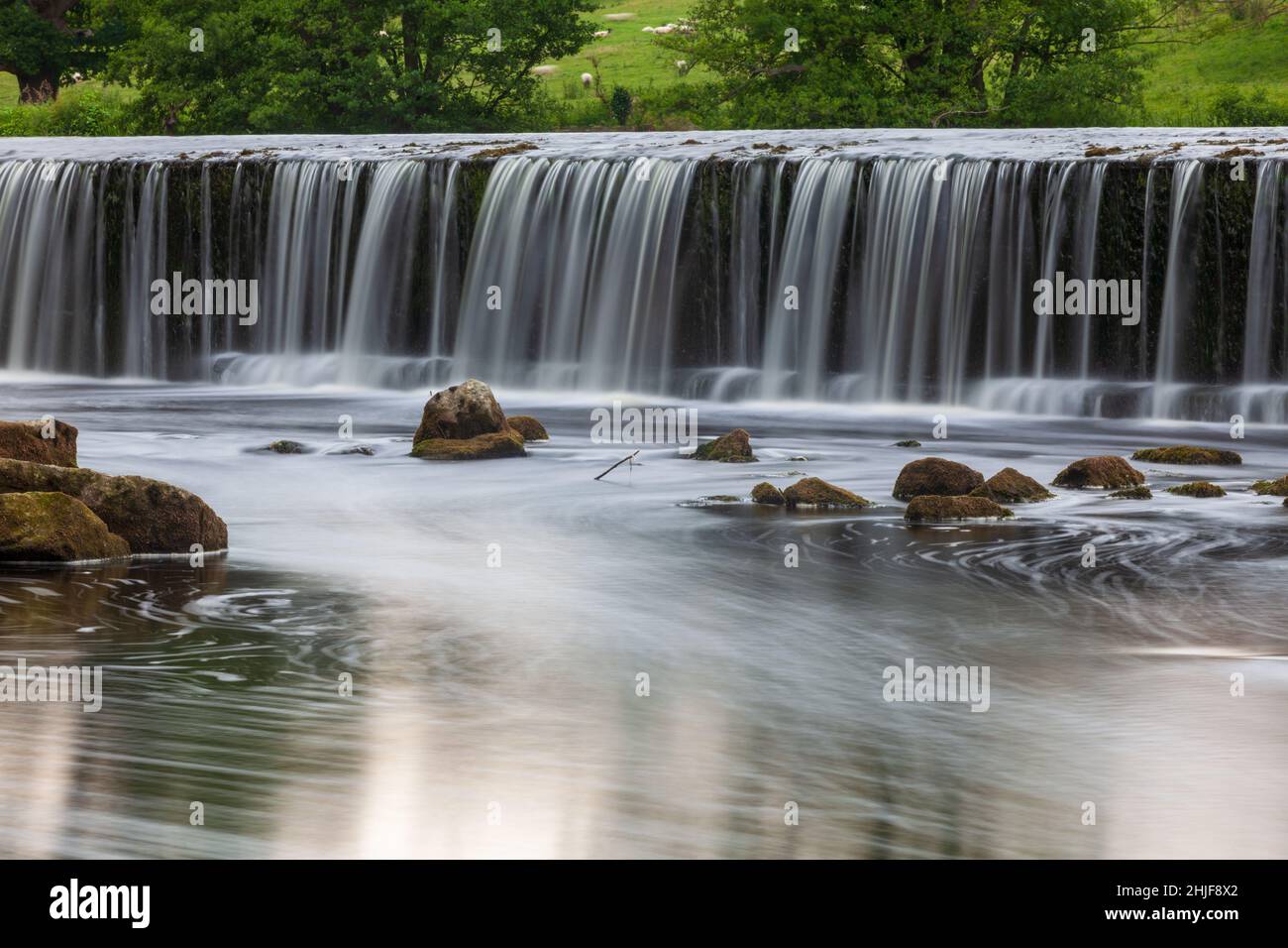 Summer view of Boston Spa weir on the River Wharfe with a low flow of ...